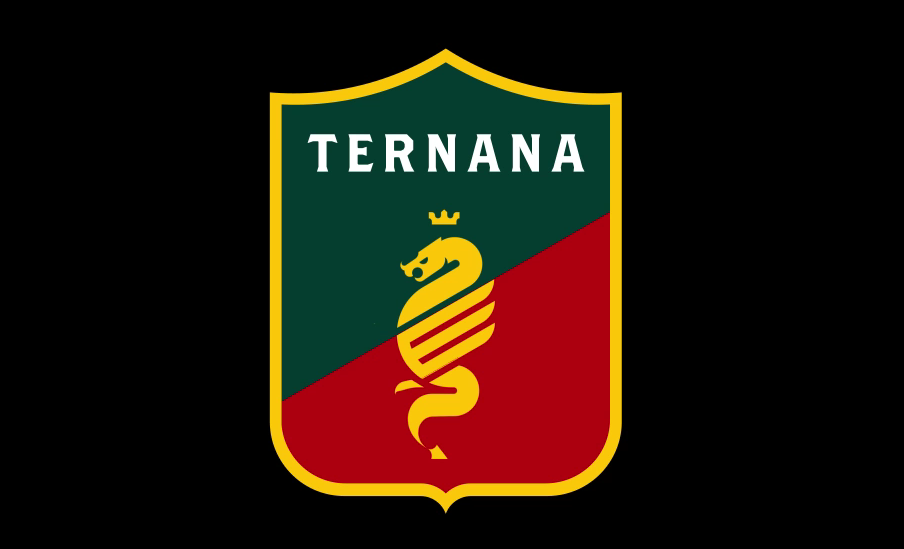 REBRANDING della TERNANA | MODì - Solo la Ternana! - Rossoverdi.com